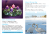 DROMANTINE RETREAT AND CONFERENCE CENTRE – 2025 PROGRAMME | Society of ...
